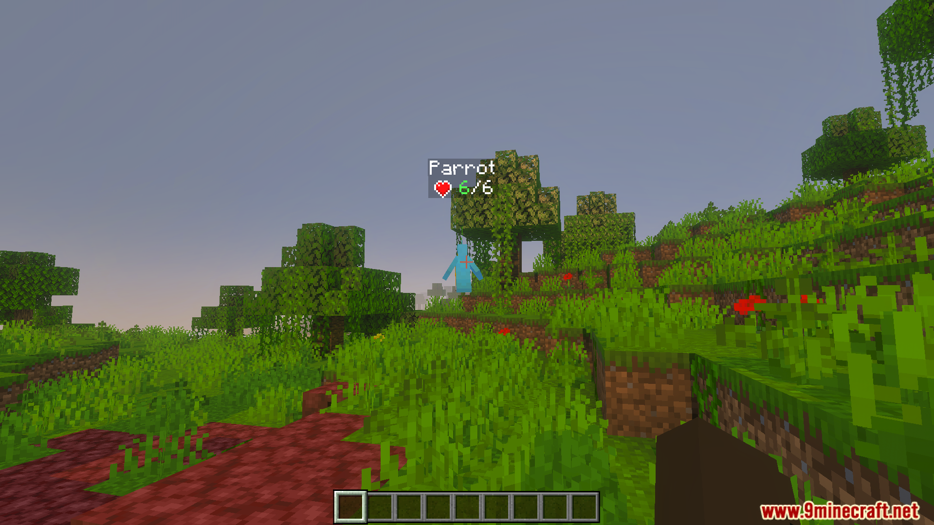 DHealth And Damage Bar Addon (26.x, 1.21) – Track Live Mob Health And ...