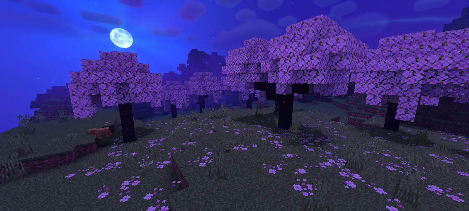Newb X Blissful Shader (1.21) – MCPE/Bedrock | ModLB