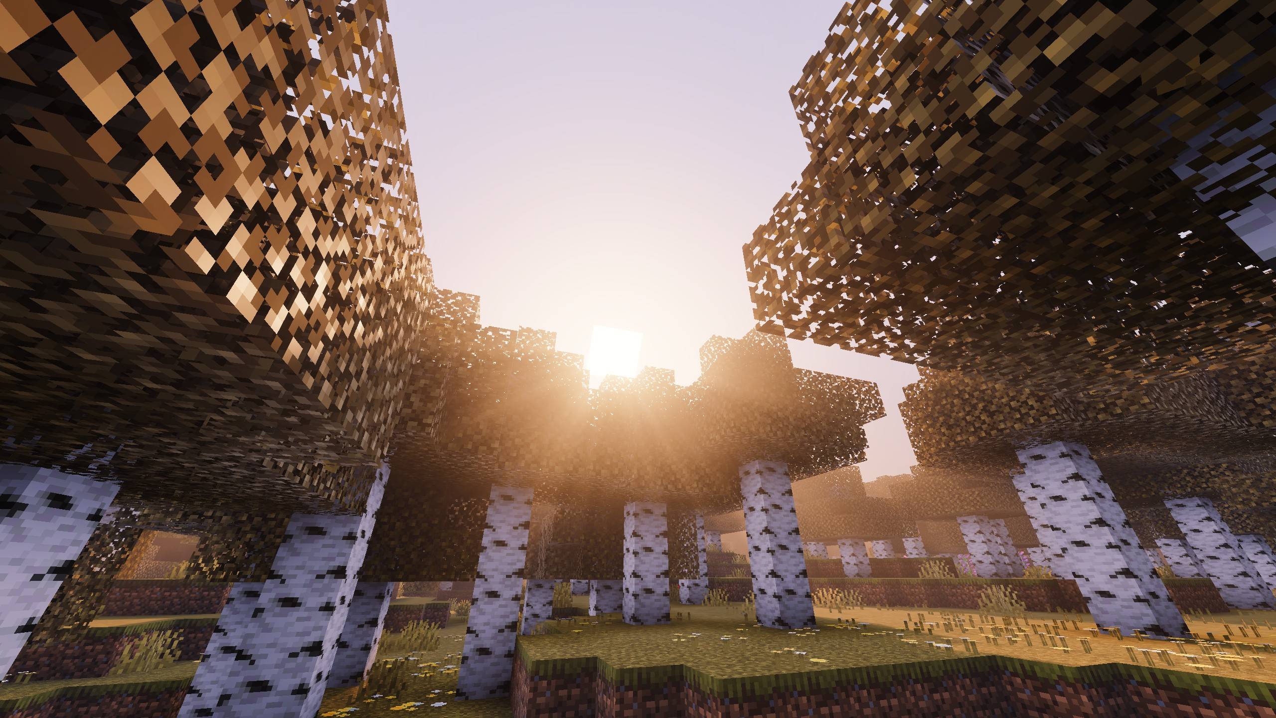 Pumpkin Spice Shaders (1.21) – MCPE/Bedrock | ModLB