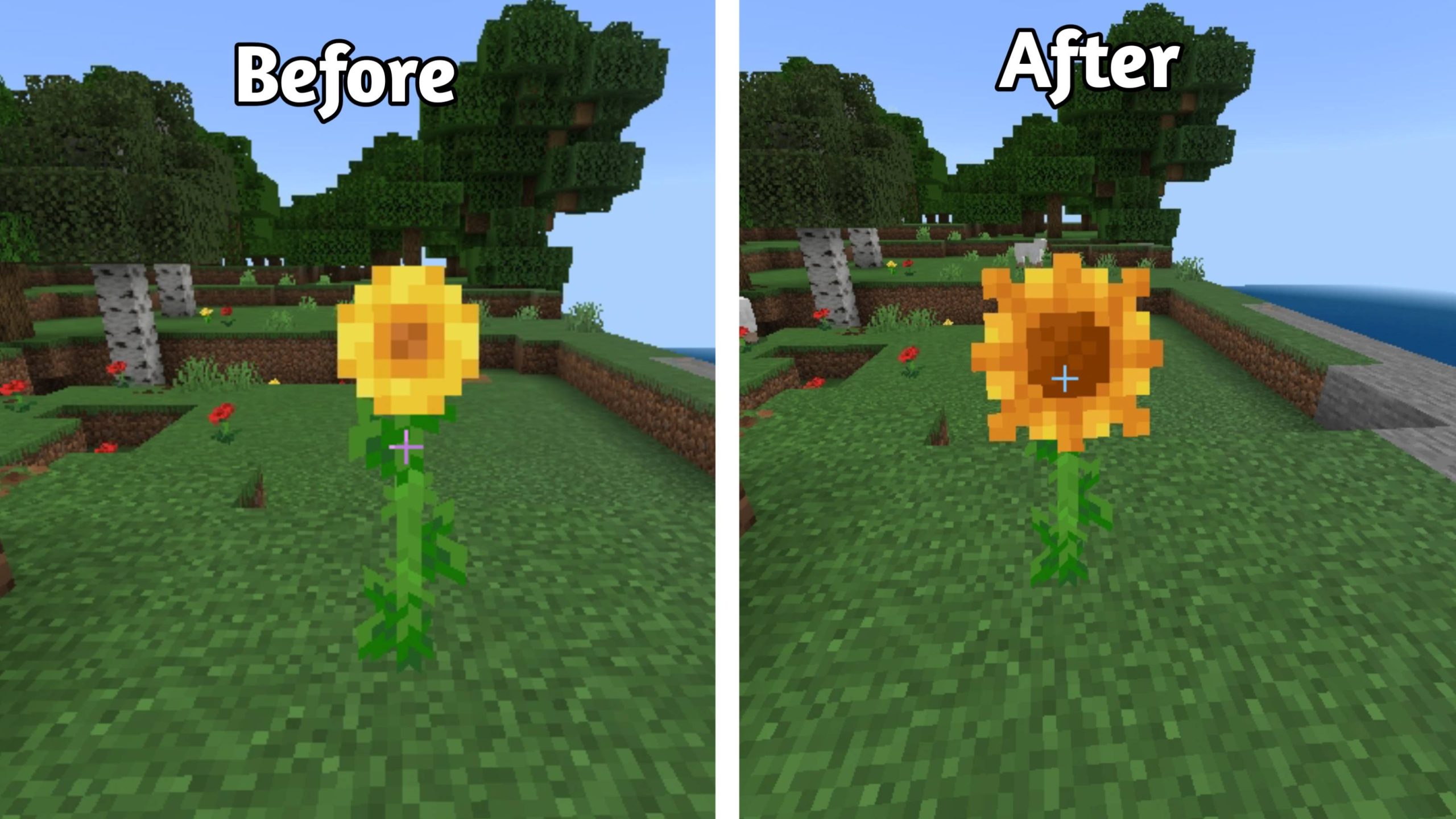Round Nature Texture Pack (1.21) – MCPE/Bedrock | ModLB