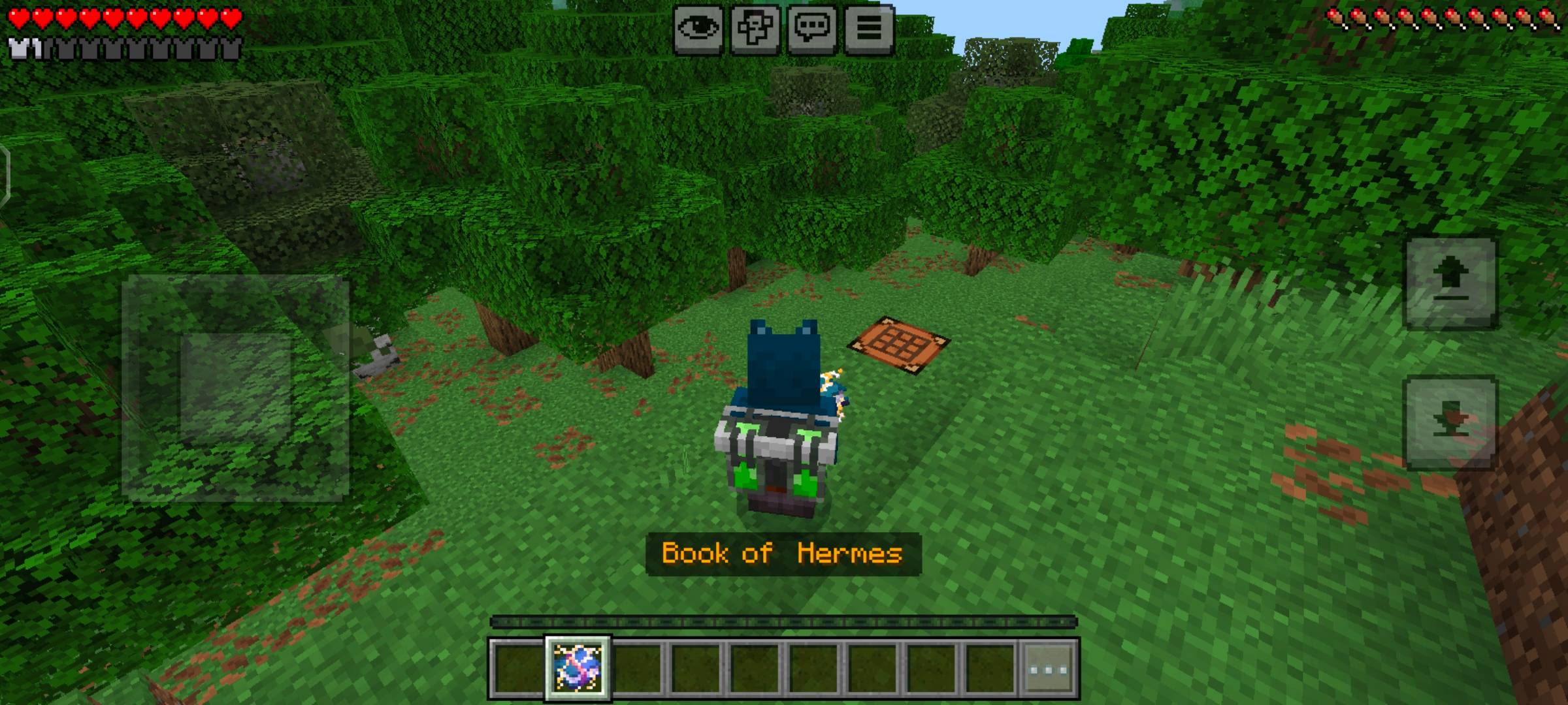 Sky Dash Addon (1.21) – MCPE/Bedrock Mod | ModLB